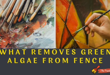 Can I Paint Over Green Algae on Fence? - The Paint Guide